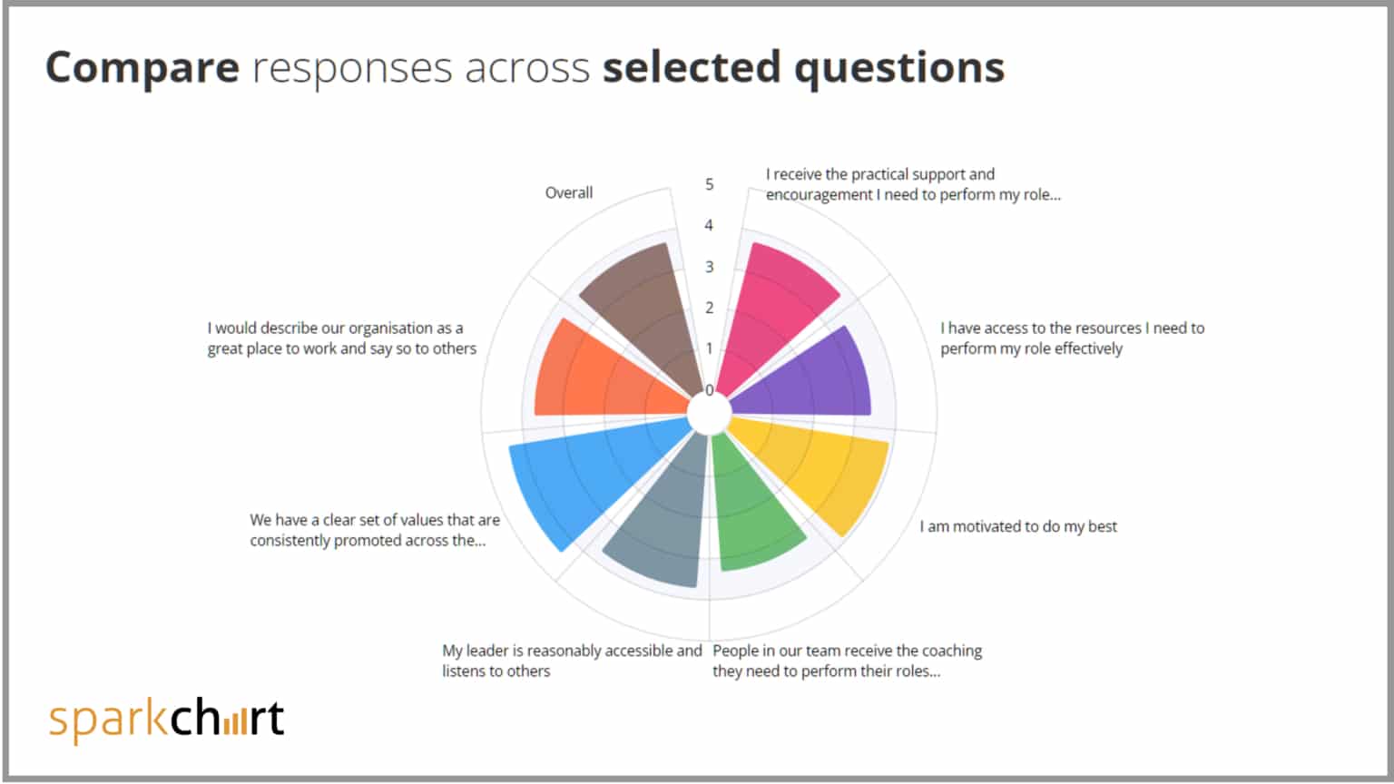 How to assess client needs with surveys for a deeper insight